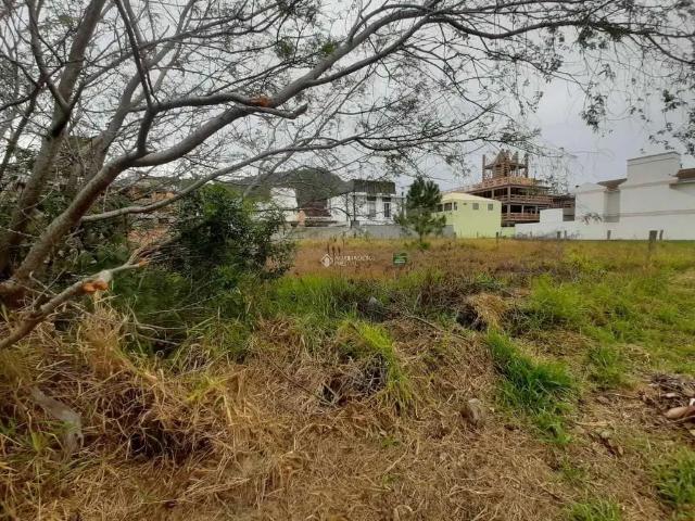 Terreno / Lote para Venda em Florianópolis/SC Ribeirão da Ilha