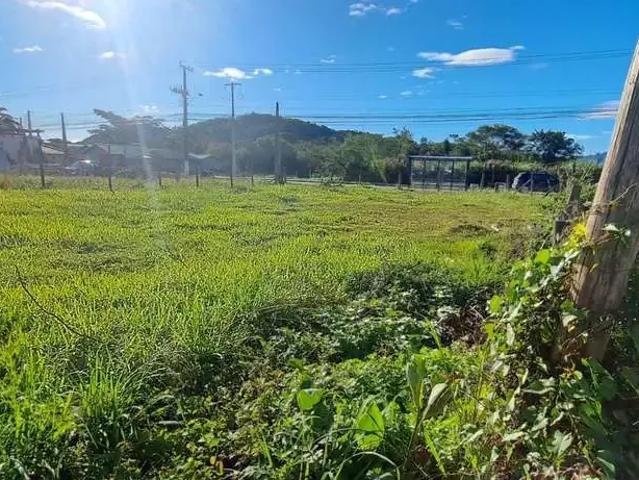Terreno / Lote para Venda em Florianópolis/SC Ribeirão da Ilha