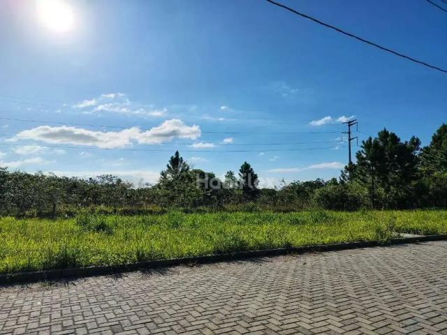 Terreno / Lote para Venda em Florianópolis/SC Ribeirão da Ilha