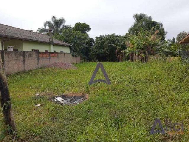 Terreno / Lote para Venda em Florianópolis/SC Ribeirão da Ilha