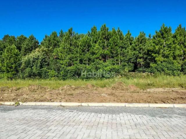 Terreno / Lote para Venda em Florianópolis/SC Ribeirão da Ilha