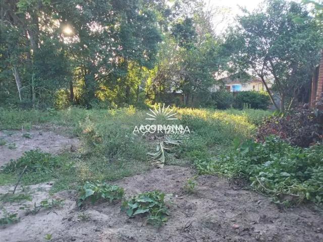 Terreno / Lote para Venda em Florianópolis/SC Rio Tavares