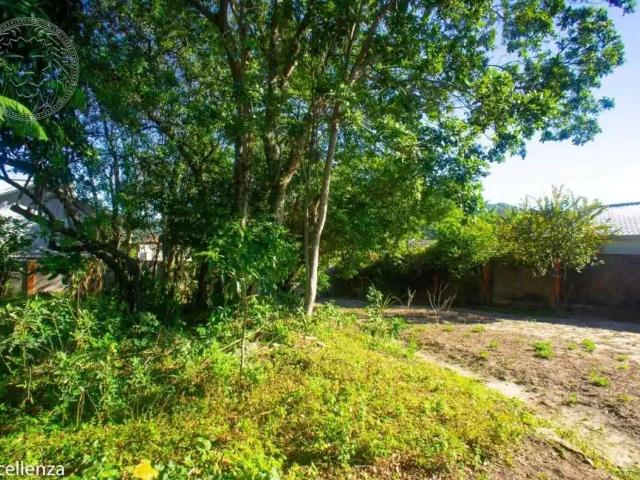 Terreno / Lote para Venda em Florianópolis/SC Rio Tavares