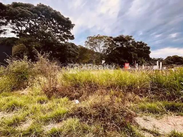 Terreno / Lote para Venda em Florianópolis/SC Rio Tavares
