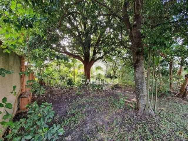 Terreno / Lote para Venda em Florianópolis/SC Rio Tavares