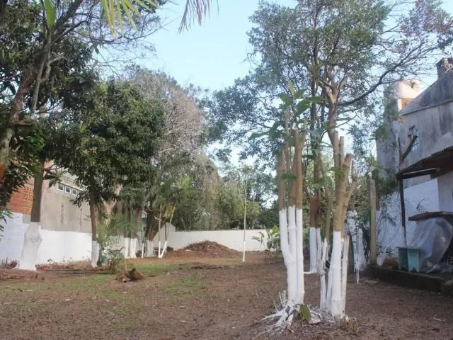 Terreno / Lote para Venda em Florianópolis/SC Tapera