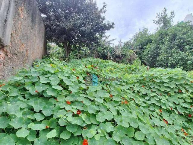 Terreno / Lote para Venda em Florianópolis/SC Trindade