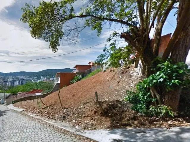Terreno / Lote para Venda em Florianópolis/SC Trindade