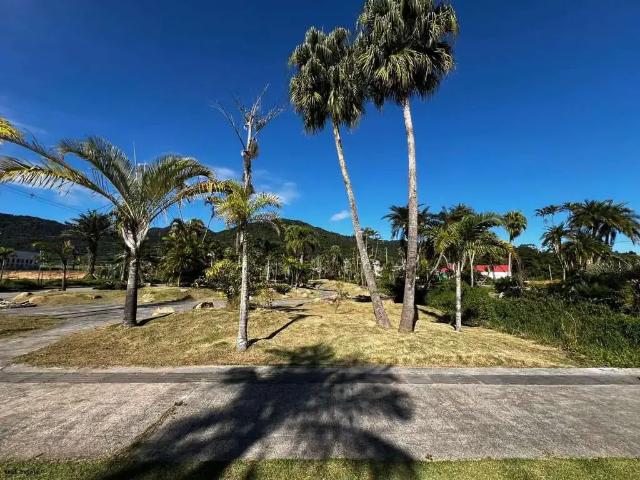 Terreno / Lote para Venda em Florianópolis/SC Vargem do Bom Jesus