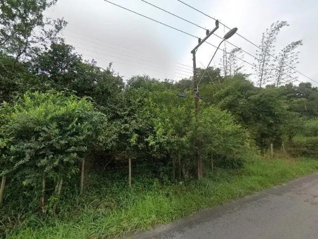 Terreno / Lote para Venda em Florianópolis/SC Vargem Grande
