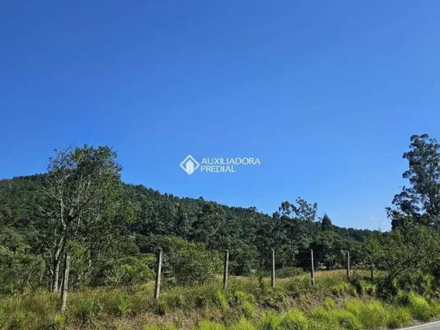Terreno / Lote para Venda em Florianópolis/SC Vargem Grande