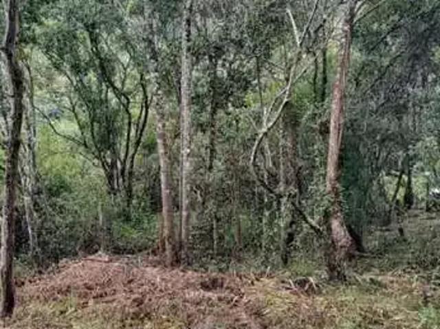 Terreno / Lote para Venda em Florianópolis/SC Vargem Grande