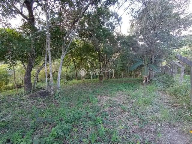 Terreno / Lote para Venda em Florianópolis/SC Vargem Grande