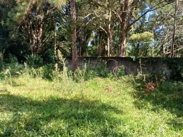 Terreno / Lote para Venda em Florianópolis/SC Vargem Grande