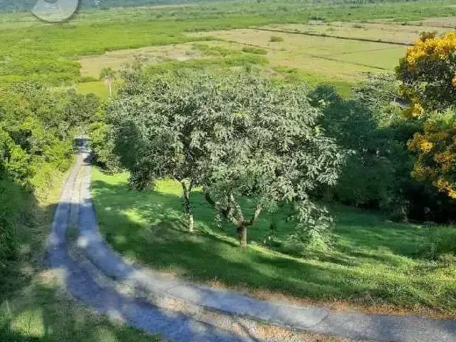 Terreno / Lote para Venda em Florianópolis/SC Vargem Pequena