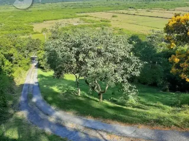 Terreno / Lote para Venda em Florianópolis/SC Vargem Pequena