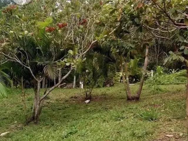 Terreno / Lote para Venda em Florianópolis/SC Vargem Pequena