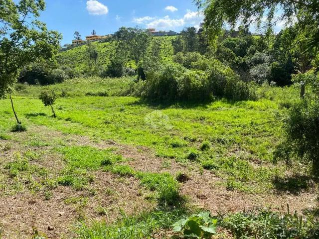 Terreno / Lote para Venda em Franco da Rocha/SP Jardim Sinki