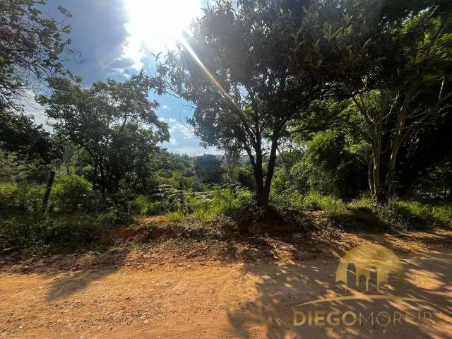 Terreno / Lote para Venda em Franco da Rocha/SP Jardim Sinki