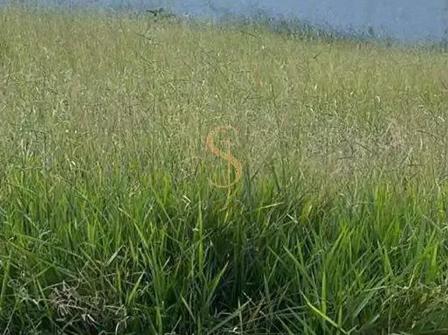 Terreno / Lote para Venda em Franca/SP Belvedere Bandeirante