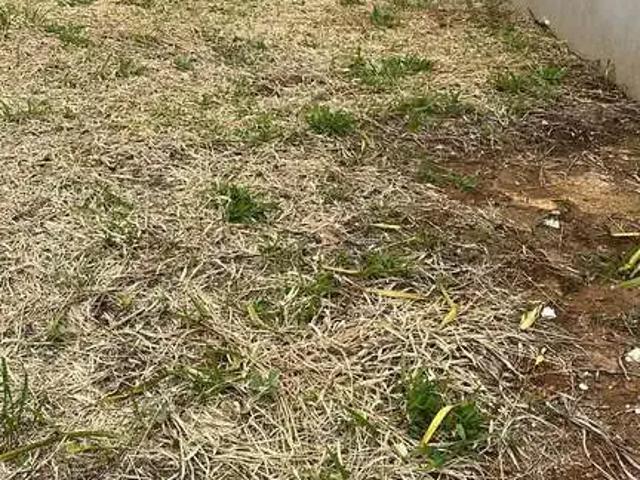 Terreno / Lote para Venda em Franca/SP Esplanada Primo Meneghetti II