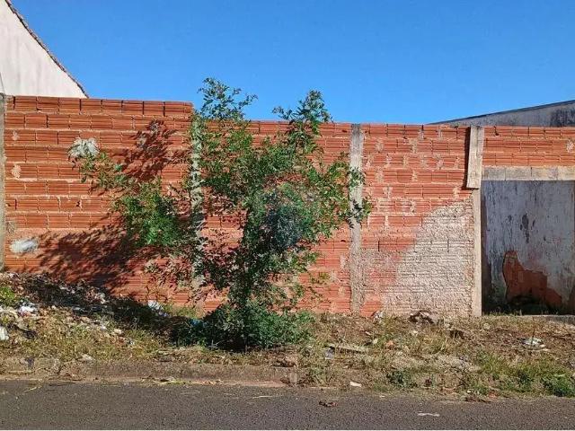 Terreno / Lote para Venda em Franca/SP Jardim São Francisco