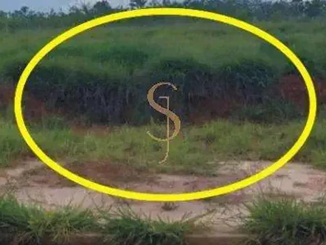 Terreno / Lote para Venda em Franca/SP Jardim Pulicano