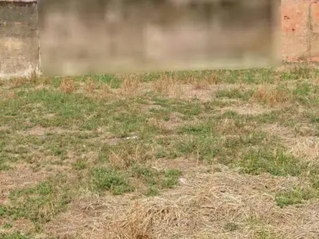 Terreno / Lote para Venda em Franca/SP Parque dos Lima