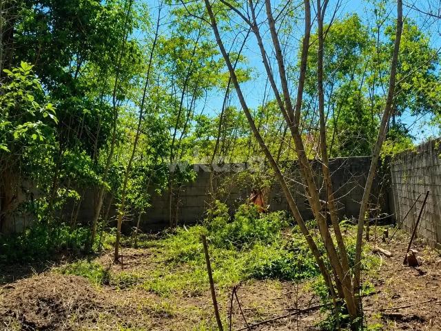 Terreno / Lote para Venda em Fundão/ES Praia Grande