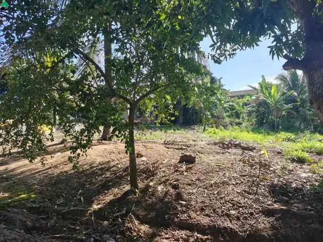 Terreno / Lote para Venda em Fundão/ES Praia Grande