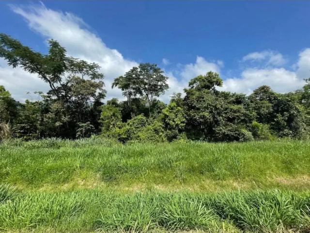 Terreno / Lote para Venda em Garuva/SC Garuva Acima