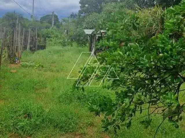 Terreno / Lote para Venda em Garça/SP Conjunto Habitacional Garça I