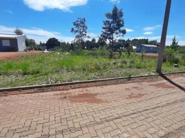 Terreno / Lote para Venda em Garibaldi/RS Alfândega