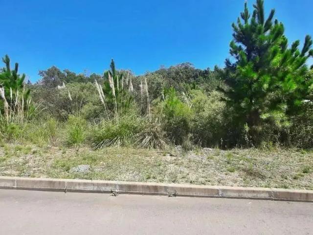 Terreno / Lote para Venda em Garibaldi/RS Alfândega
