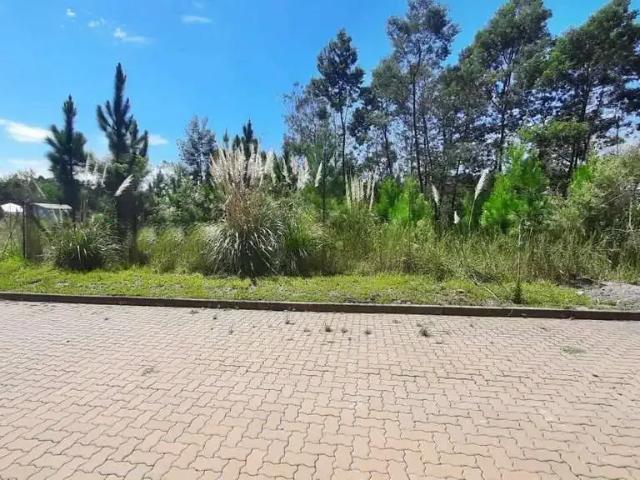 Terreno / Lote para Venda em Garibaldi/RS Alfândega
