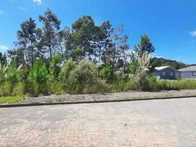 Terreno / Lote para Venda em Garibaldi/RS Alfândega