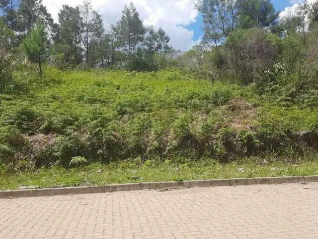 Terreno / Lote para Venda em Garibaldi/RS Alfândega