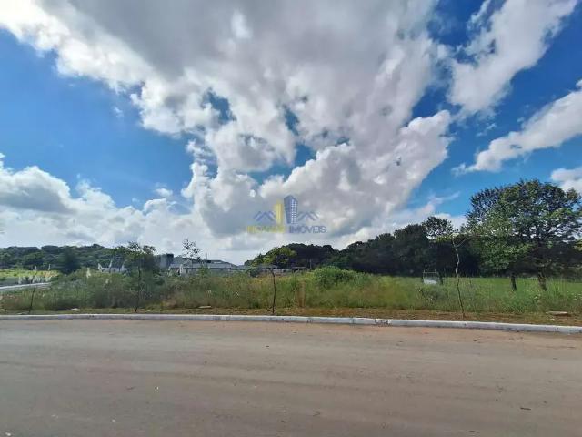 Terreno / Lote para Venda em Garibaldi/RS Alfândega