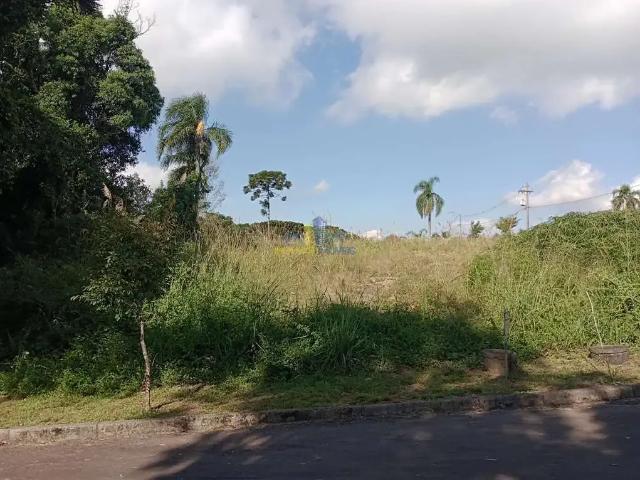 Terreno / Lote para Venda em Garibaldi/RS Alfândega
