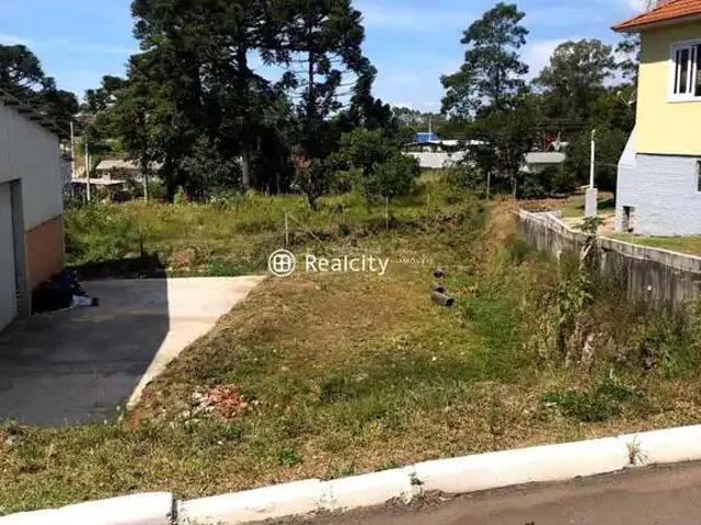 Terreno / Lote para Venda em Garibaldi/RS Alfândega