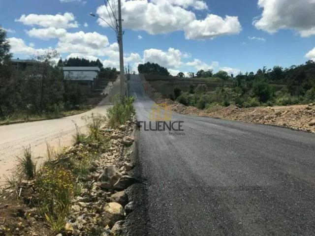 Terreno / Lote para Venda em Garibaldi/RS Alfândega