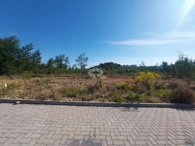Terreno / Lote para Venda em Garibaldi/RS Alfândega