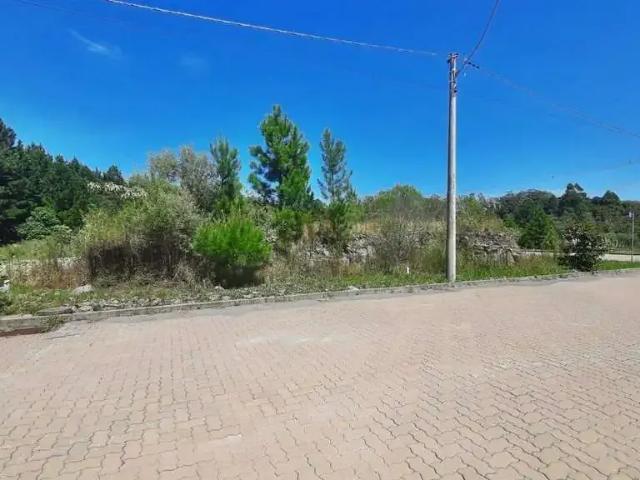 Terreno / Lote para Venda em Garibaldi/RS Alfândega