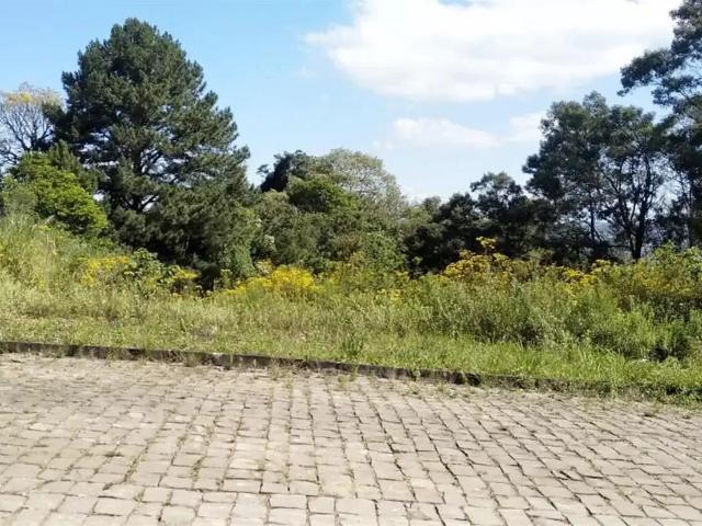 Terreno / Lote para Venda em Garibaldi/RS Borghetto