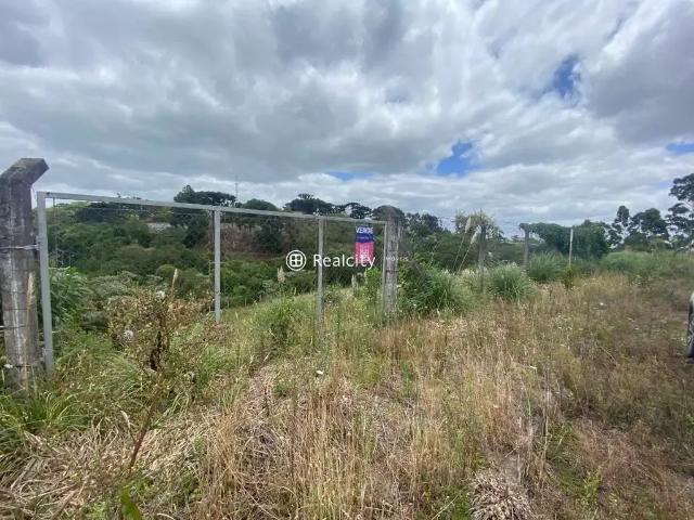 Terreno / Lote para Venda em Garibaldi/RS Borghetto