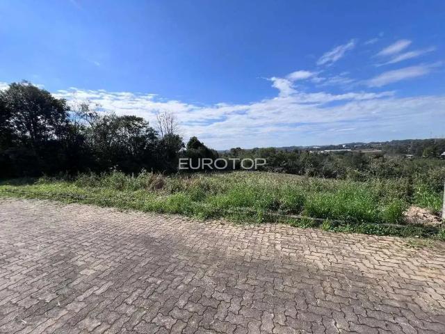 Terreno / Lote para Venda em Garibaldi/RS Borghetto