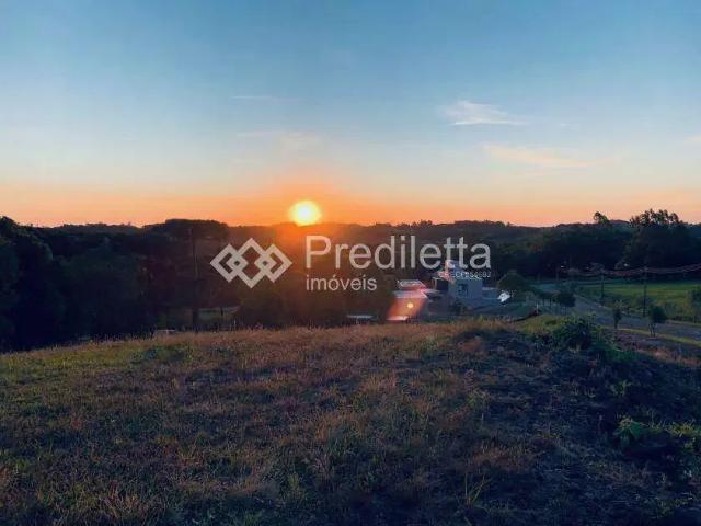 Terreno / Lote para Venda em Garibaldi/RS Borghetto