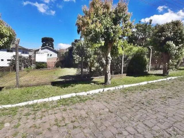 Terreno / Lote para Venda em Garibaldi/RS Brasilia