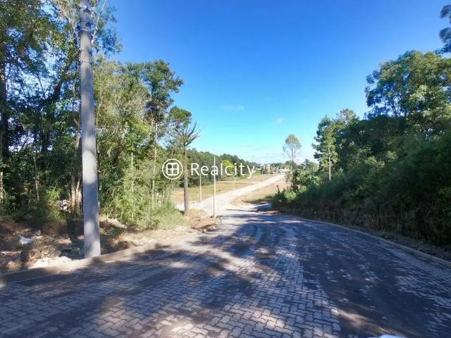 Terreno / Lote para Venda em Garibaldi/RS Brasilia