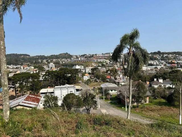Terreno / Lote para Venda em Garibaldi/RS Cairú